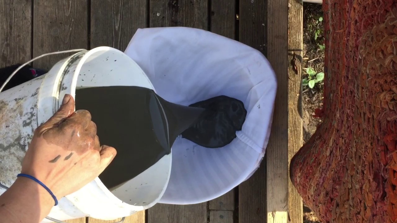 Harvesting and Processing BEACH CLAY! - YouTube