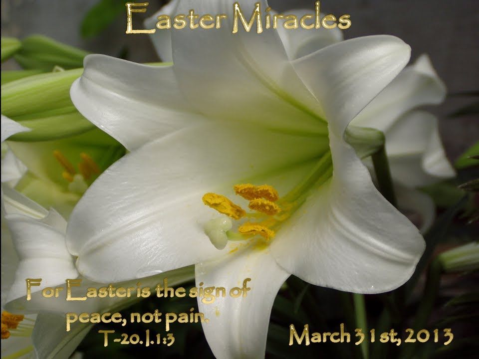 "Easter Miracles" - Practical Application of A Course in Miracles - YouTube