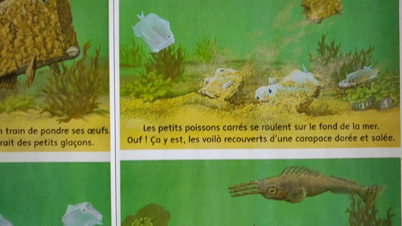 Le poisson carré - YouTube