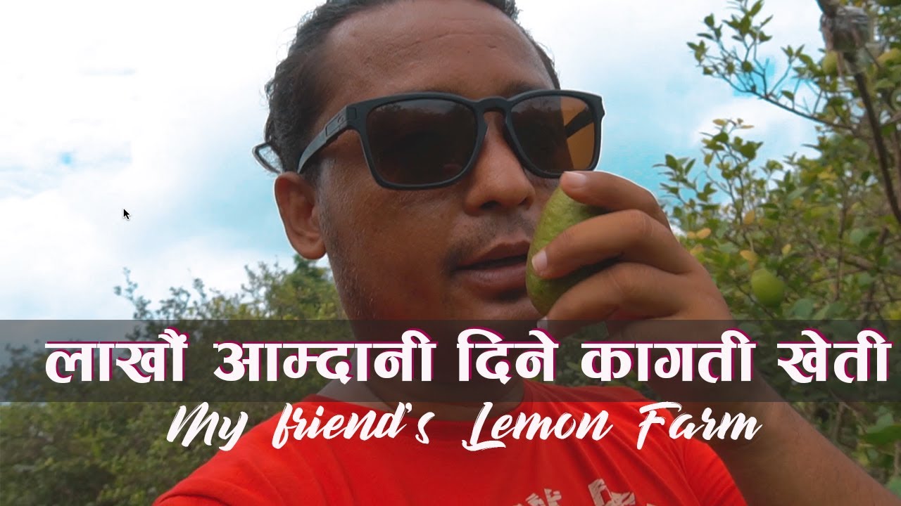 KAGATI KHETI IN NEPAL I LEMON FARMING IN NEPAL | EXPLORING EAST NEPAL ...