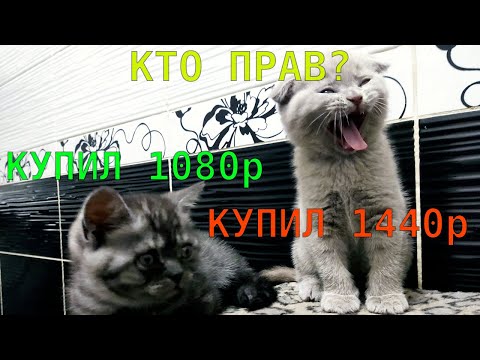 Я вернулся бы к 1080p. Почему 1440p - не для всех