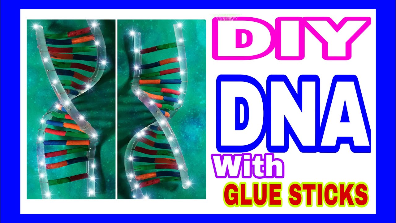 dna model using popsical sticks/ #DIY this #DNA with Glue sticks simple ...