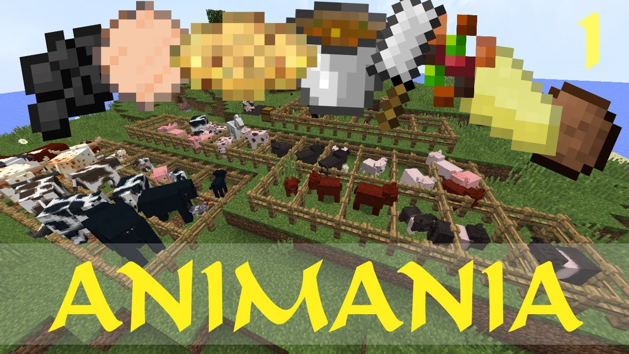 LE TEST#16.1 Animania - YouTube