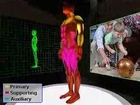 Muscles used in Bowling - YouTube