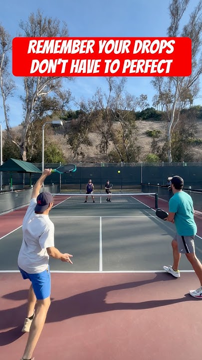 Transition Zone #pickleball - YouTube