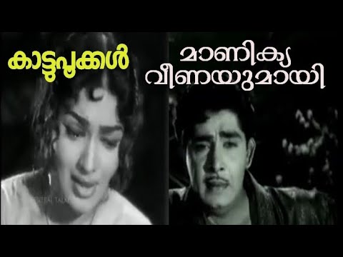 മാണിക്യവീണയുമായി. Krishnakumar Mapranam - YouTube