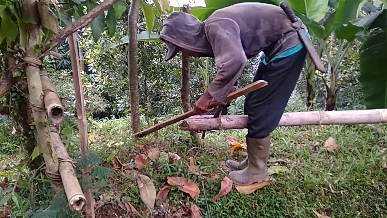 Cara praktis membelah bambu panjang dengan cepat dan mudah yang ...