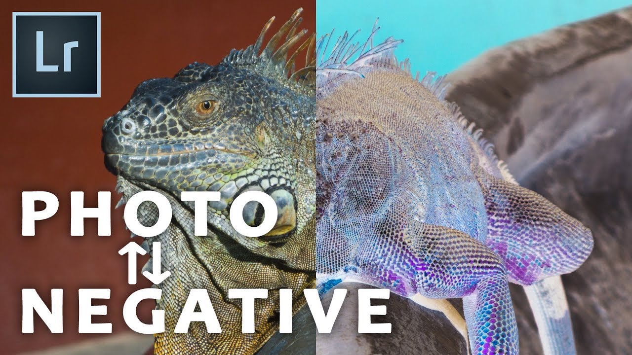 Quickly Turn A Picture Into A Negative In Lightroom or The Other Way Around YouTube quickly-turn-a-picture-into-a-negative-in-lightroom-or-the-other-way-around-youtube