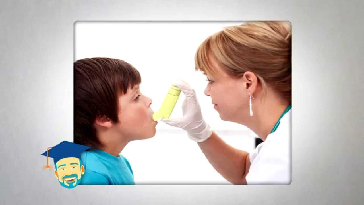 Ask the Pest Professor: Cockroach Allergy - YouTube