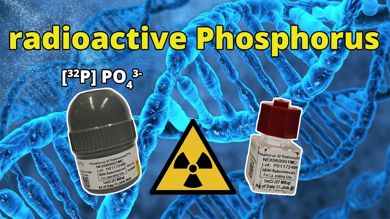 Phosphorus - 32 - nuclear chemistry - YouTube