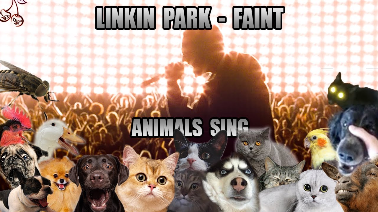 Linkin Park - Faint (Animal Cover)🐝😸🐐🐕 - YouTube