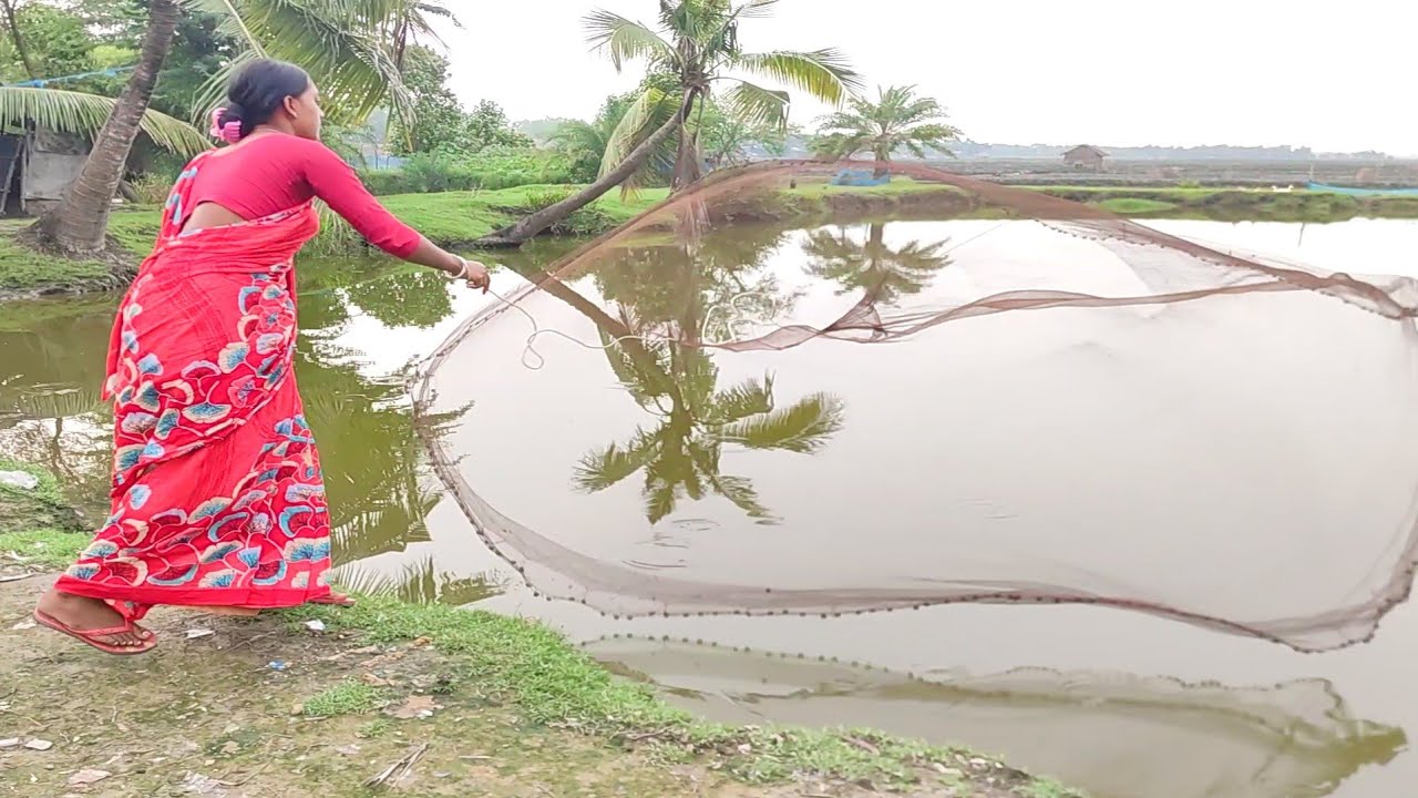 Cast Net Fishing Video | Traditional Fish Catching With A Cast Net ...