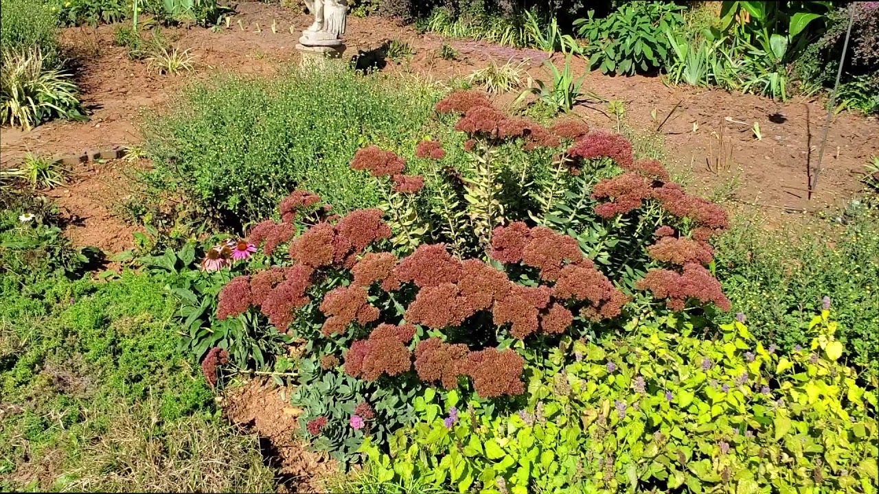 Garden Overview 2 - YouTube