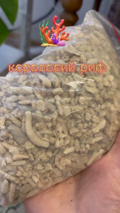 Субстрат для ароїдних від якого коренева система росте по годинах🔥Як ...