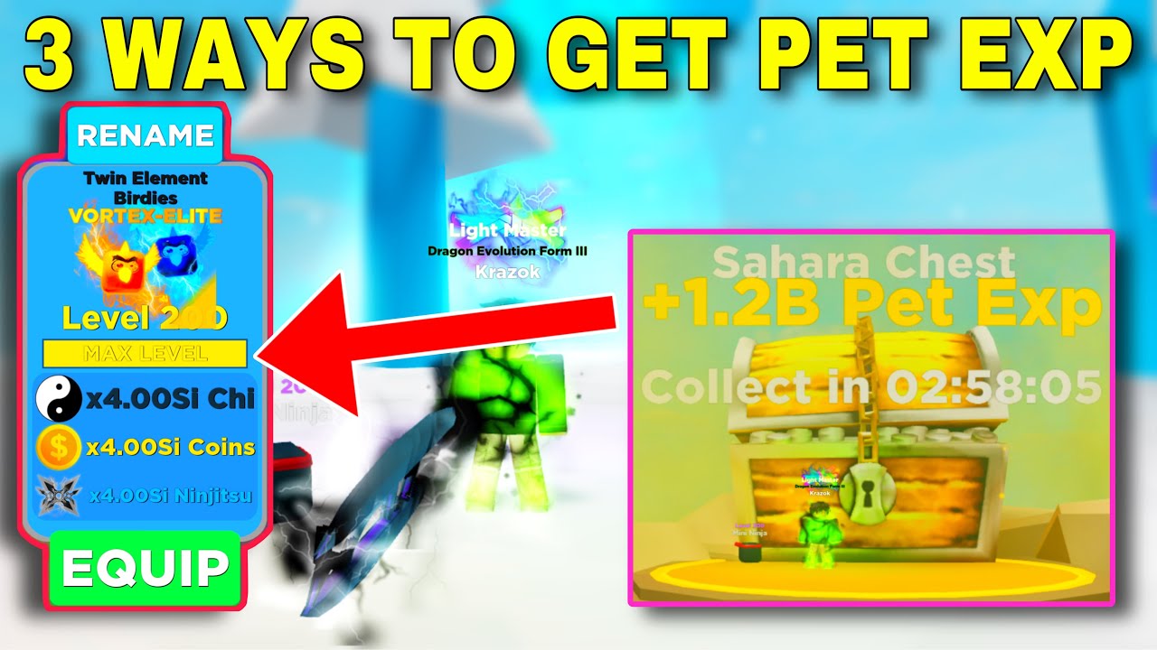 3 Ways To Get Pet Exp in Ninja Legends *2023* ~ Roblox - YouTube