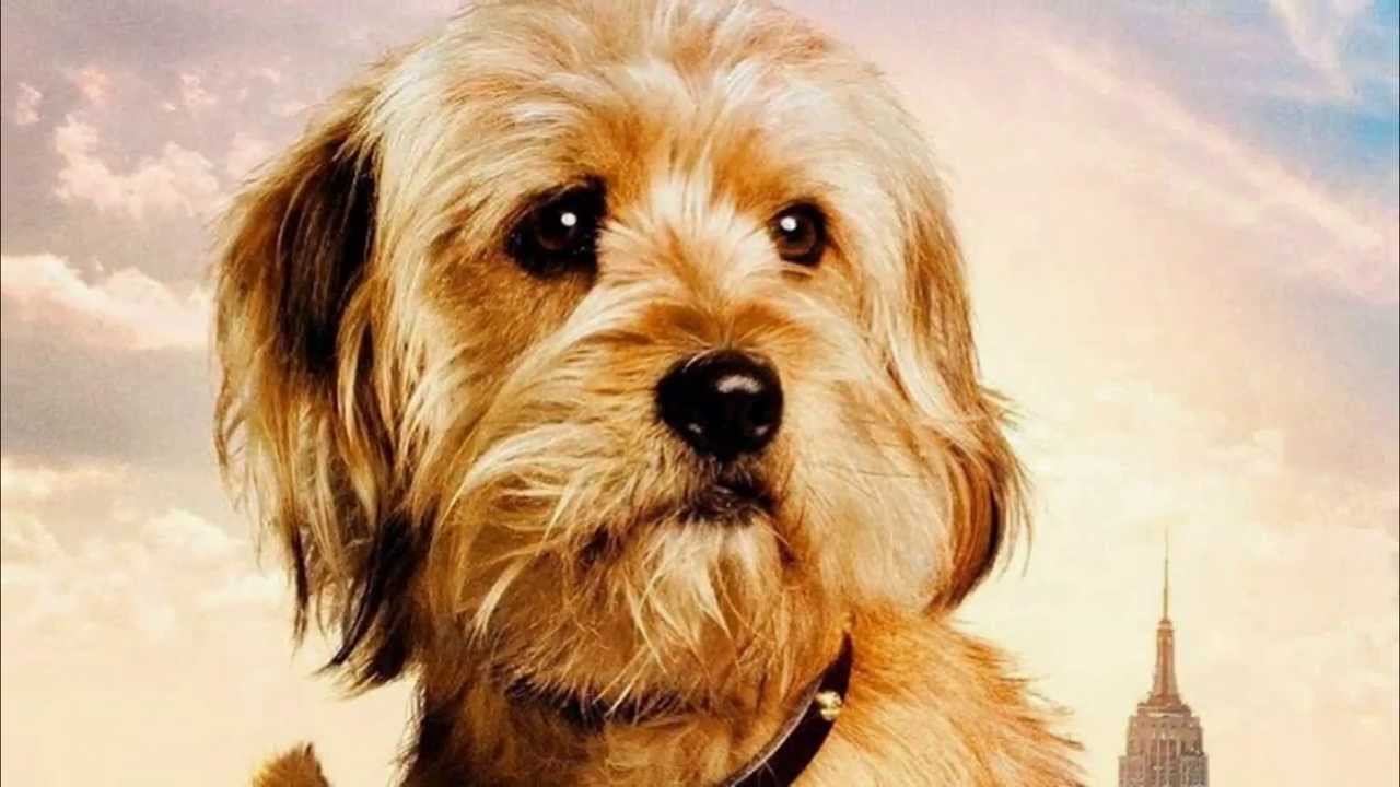 Anchorman 2: Baxter Character Movie Poster - YouTube