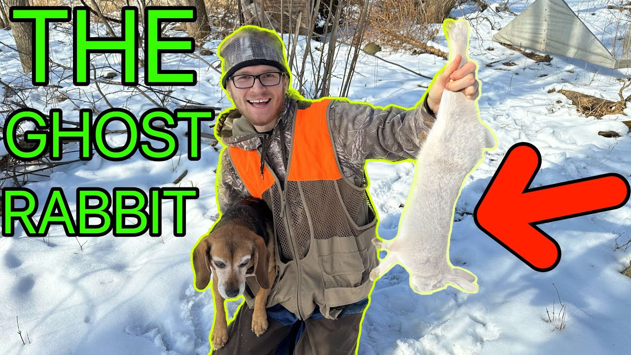Hunting The GHOST Rabbit W/ Our Beagle Dazy! (Ran Rabbit For Over 1 ...