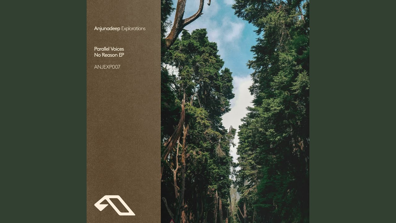 No Reason (Extended Mix) - YouTube