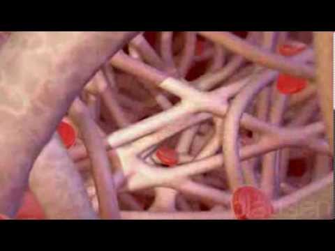 Cancer Animation - YouTube