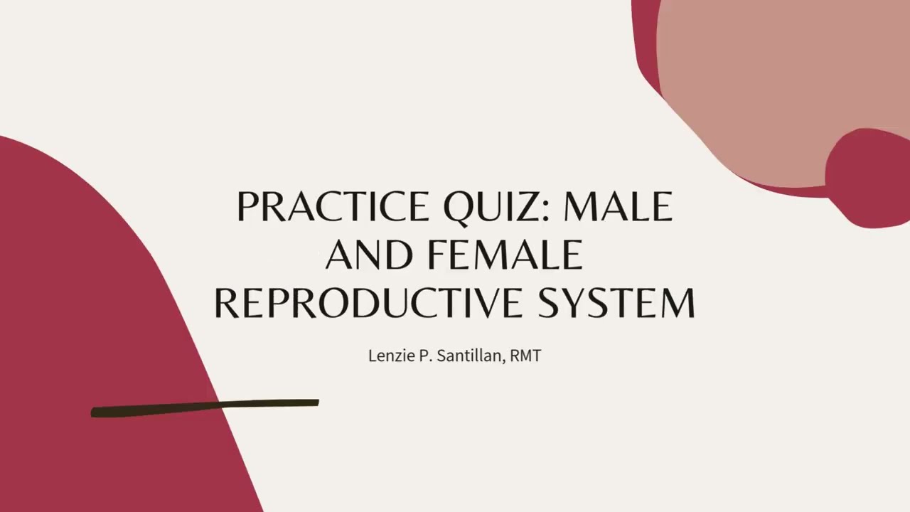 Female Reproductive System Practice Problems