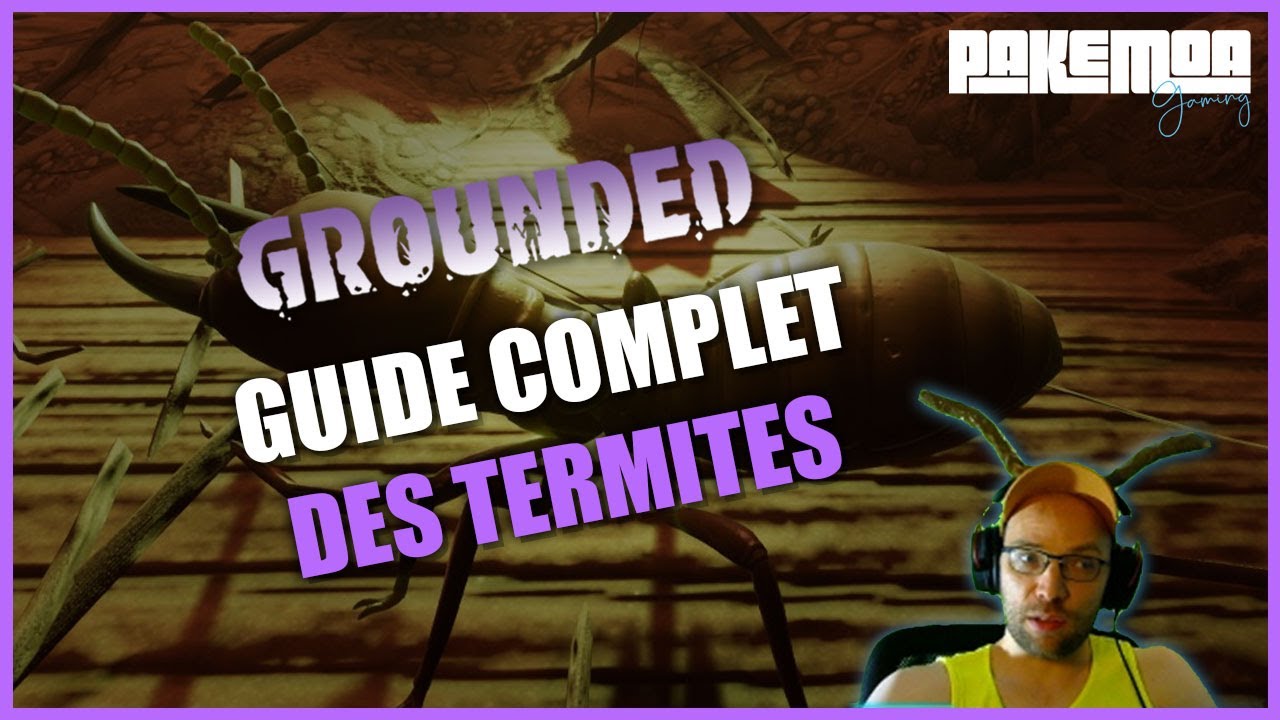 Grounded guide complet des termites - YouTube