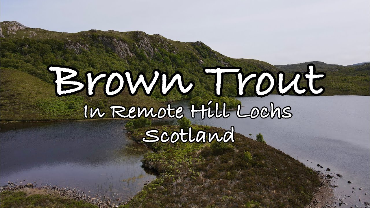 Brown Trout in Remote Hill Lochs / Fishing / Scotland - YouTube
