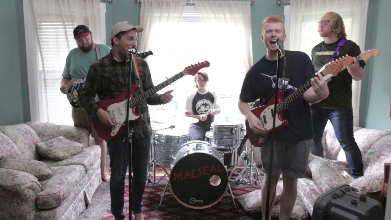 Macseal - "Cats" (Official Music Video) Acordes - Chordify