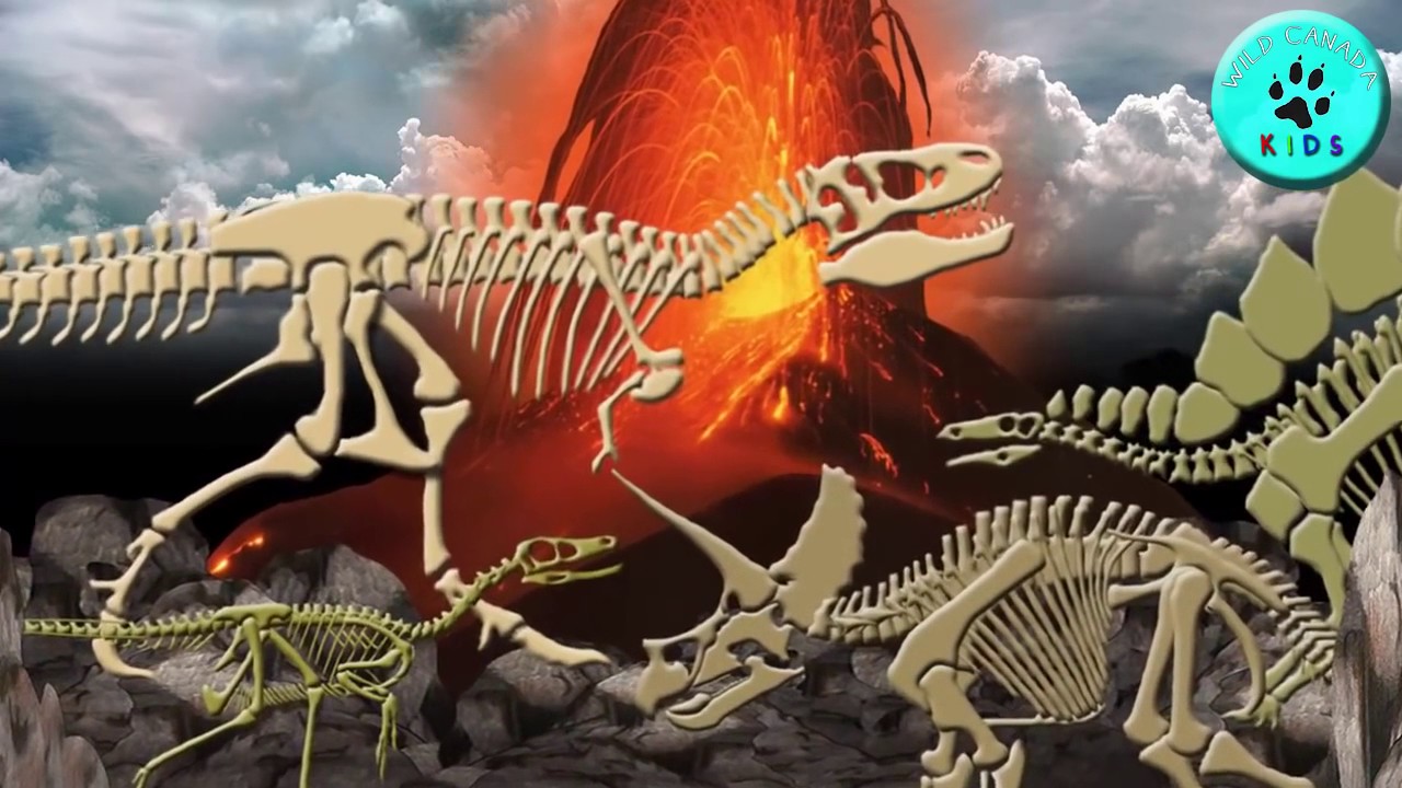 Dinosaur Song - Dinosaur Cartoon for Kids Tyrannosaurus Rex T-Rex and ...