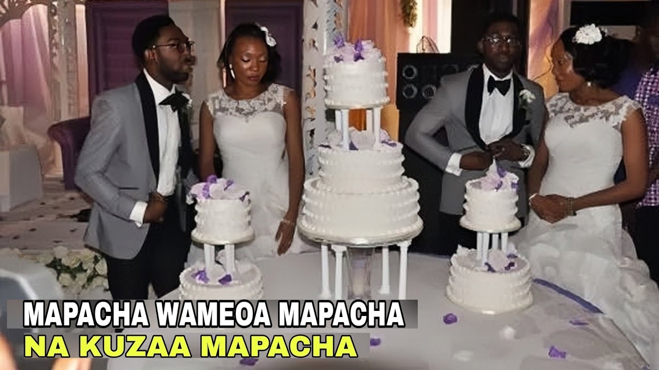 Mapacha Wameoa Mapacha Kwa Pamoja Na Kuzaa Watoto Mapacha | Kuna Wakati ...