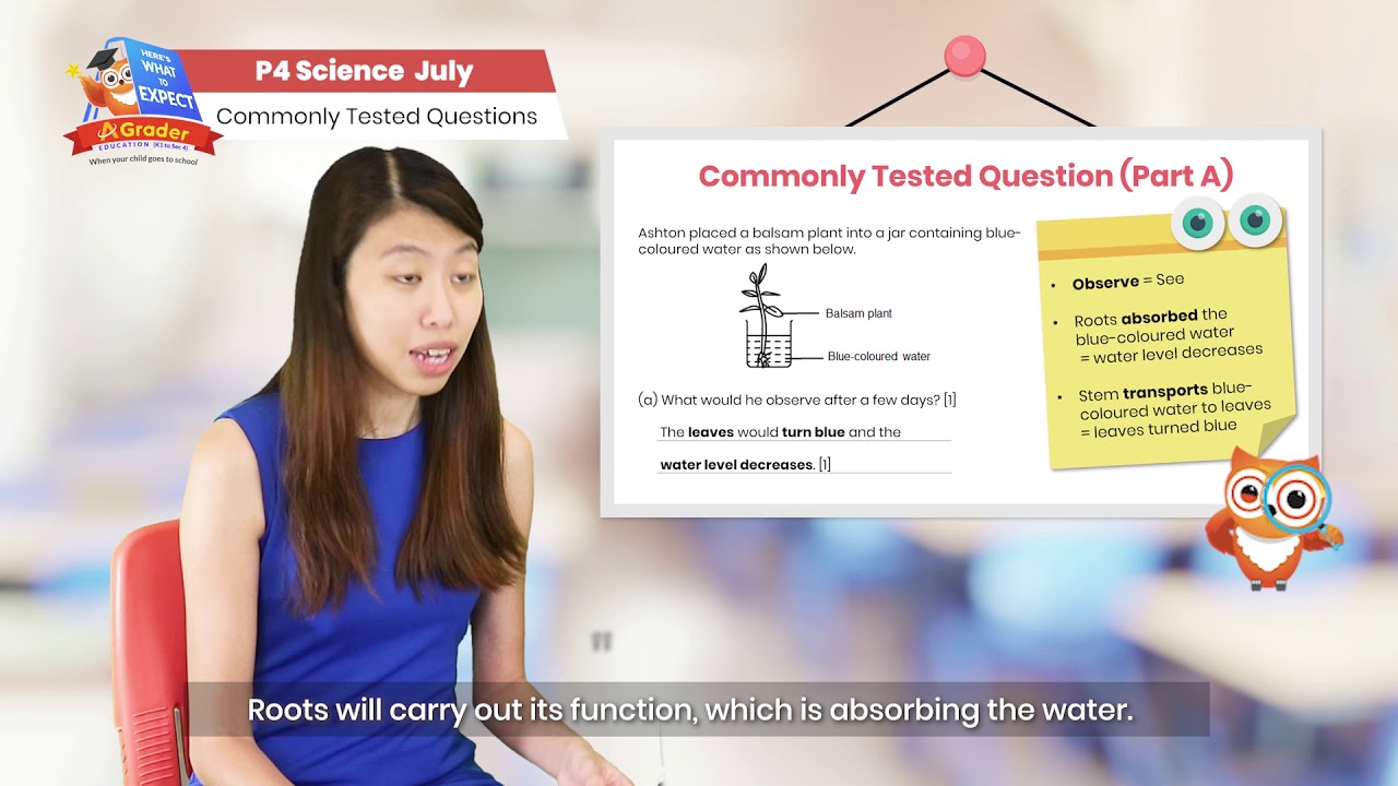 P4 Science - Here's What to Expect – July - YouTube