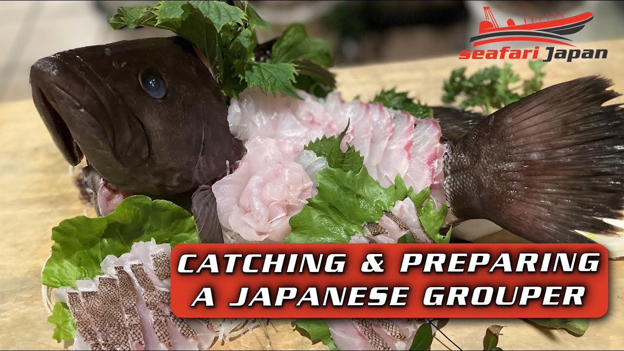 Catch to Table Japanese Grouper "Hata" Meal - YouTube