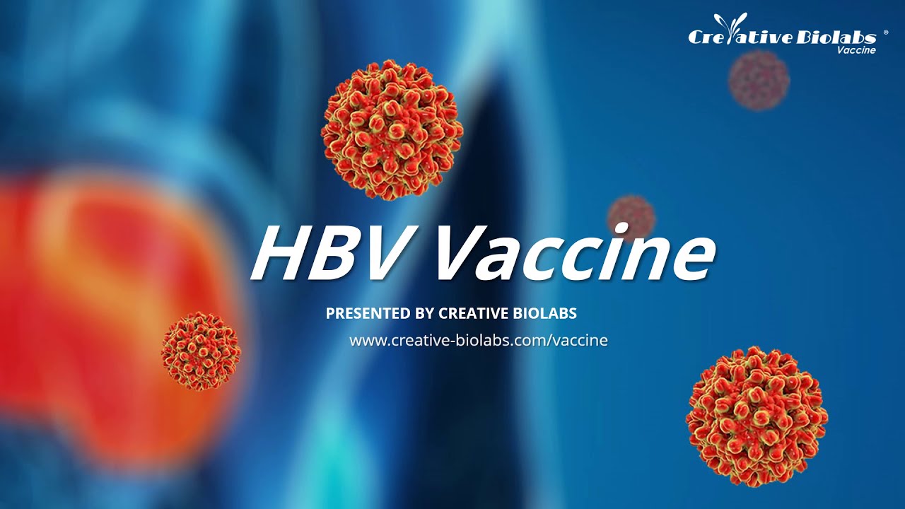 HBV Vaccine - Creative Biolabs - YouTube