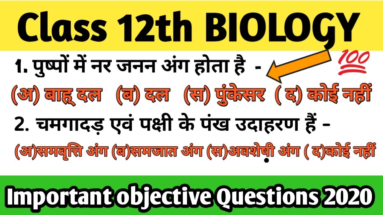 Biology Class 12 Important Objective 2020 Mp Board up Board biology biology-class-12-important-objective-2020-mp-board-up-board-biology