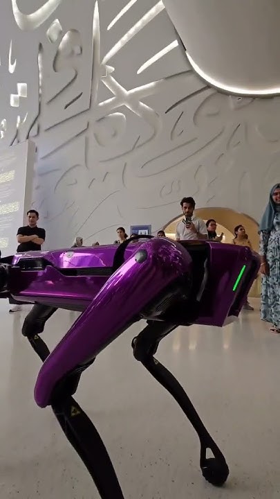 Robot Dog in Dubai Museum of the Future: MUST-SEE! | Robot Dog | Museum ...