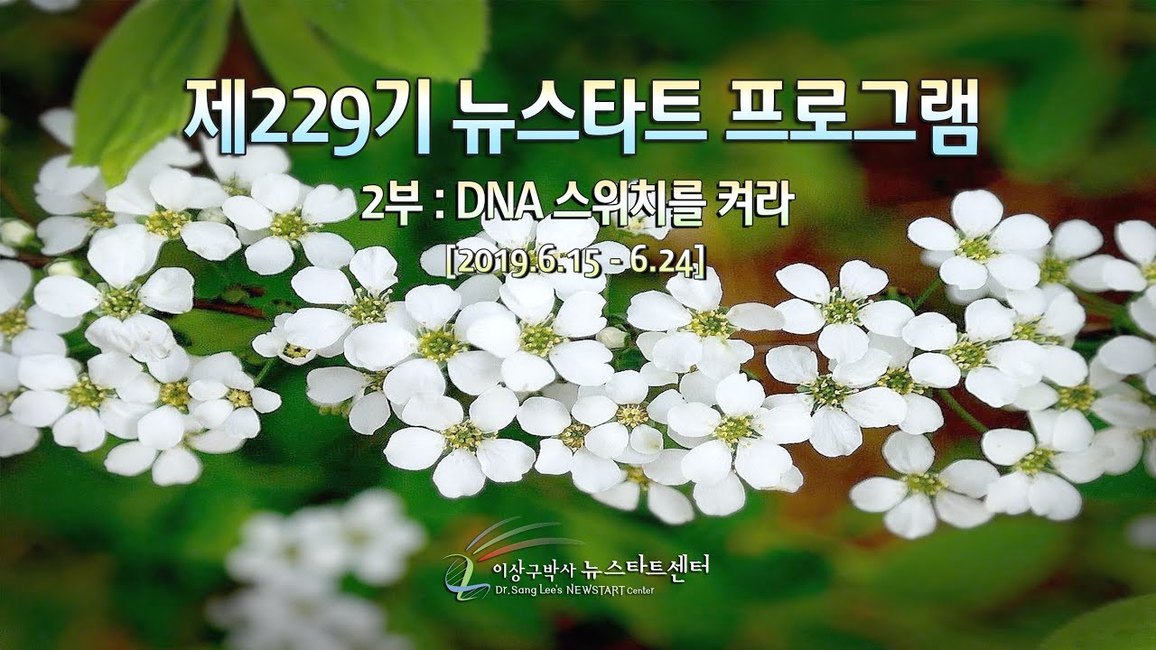 H229 01 회개가 구원의 조건인가 - YouTube