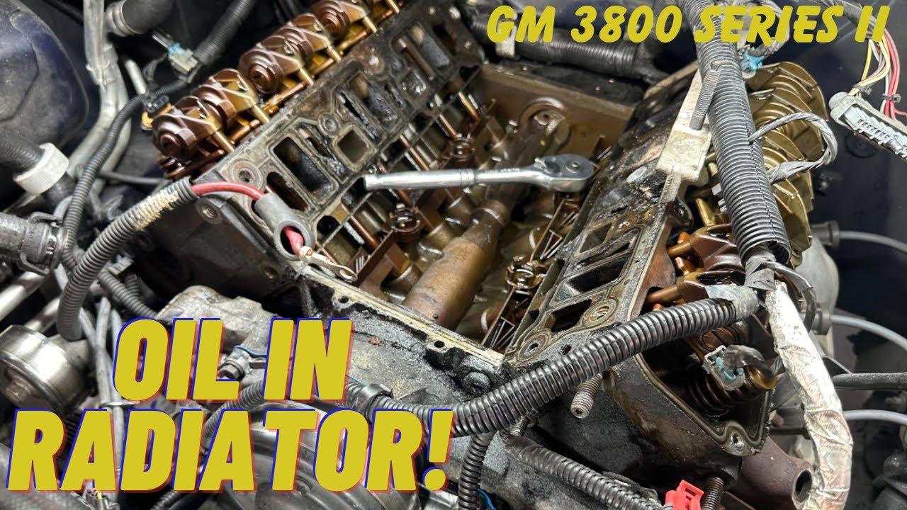 Oil in the Radiator! Top End Internal Tear Down! GM 3800 3100 3400 3.8 ...