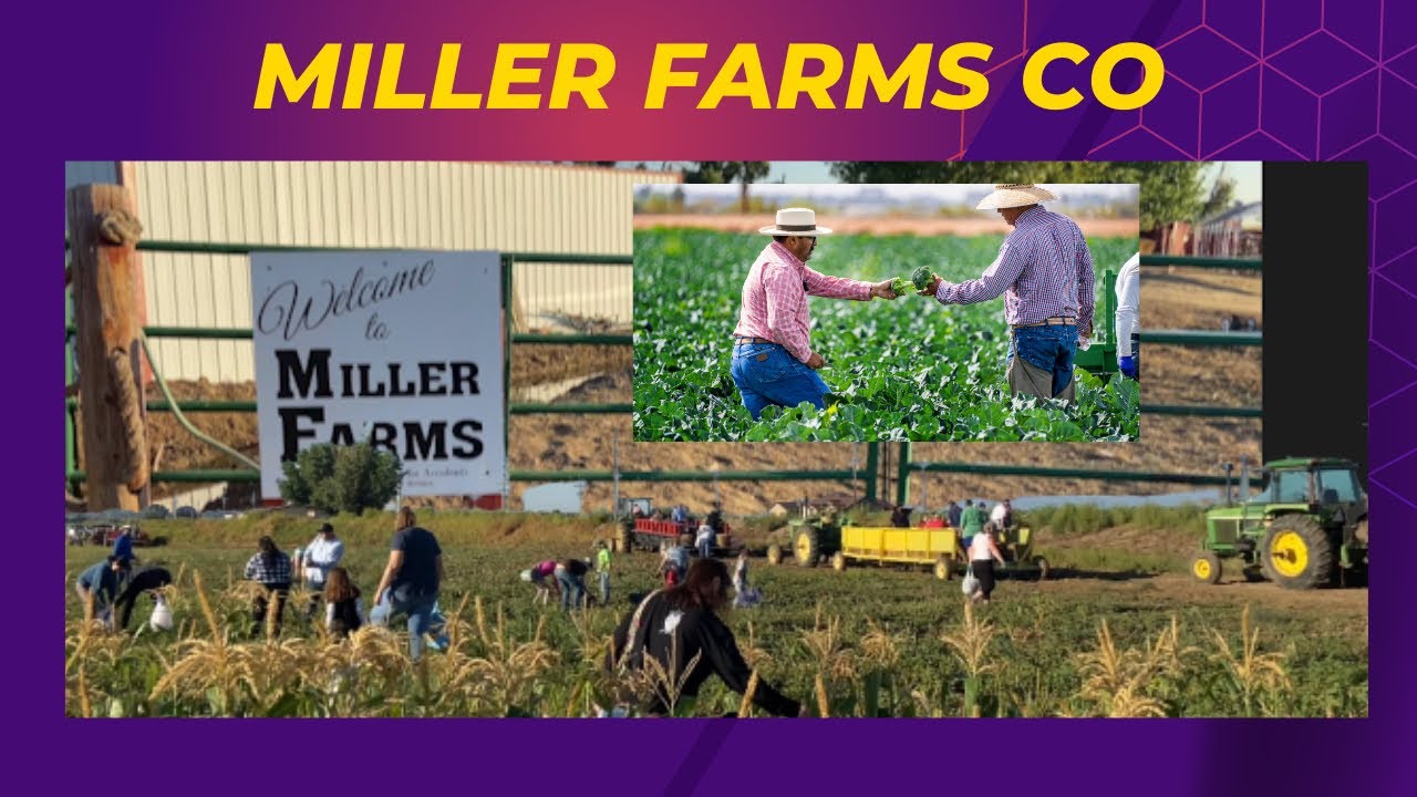 Miller Farms CO - YouTube