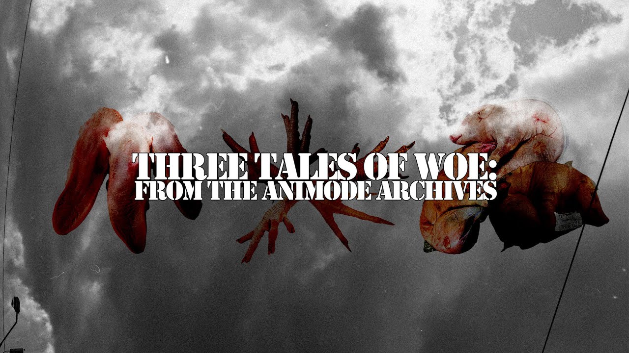 secondhandbandaid - Three Tales of Woe: From the Animode Archives - YouTube