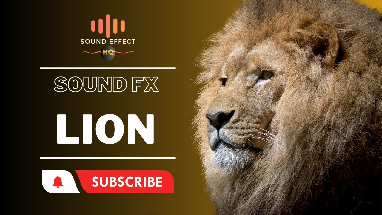 LION - Sound Effect HQ - YouTube