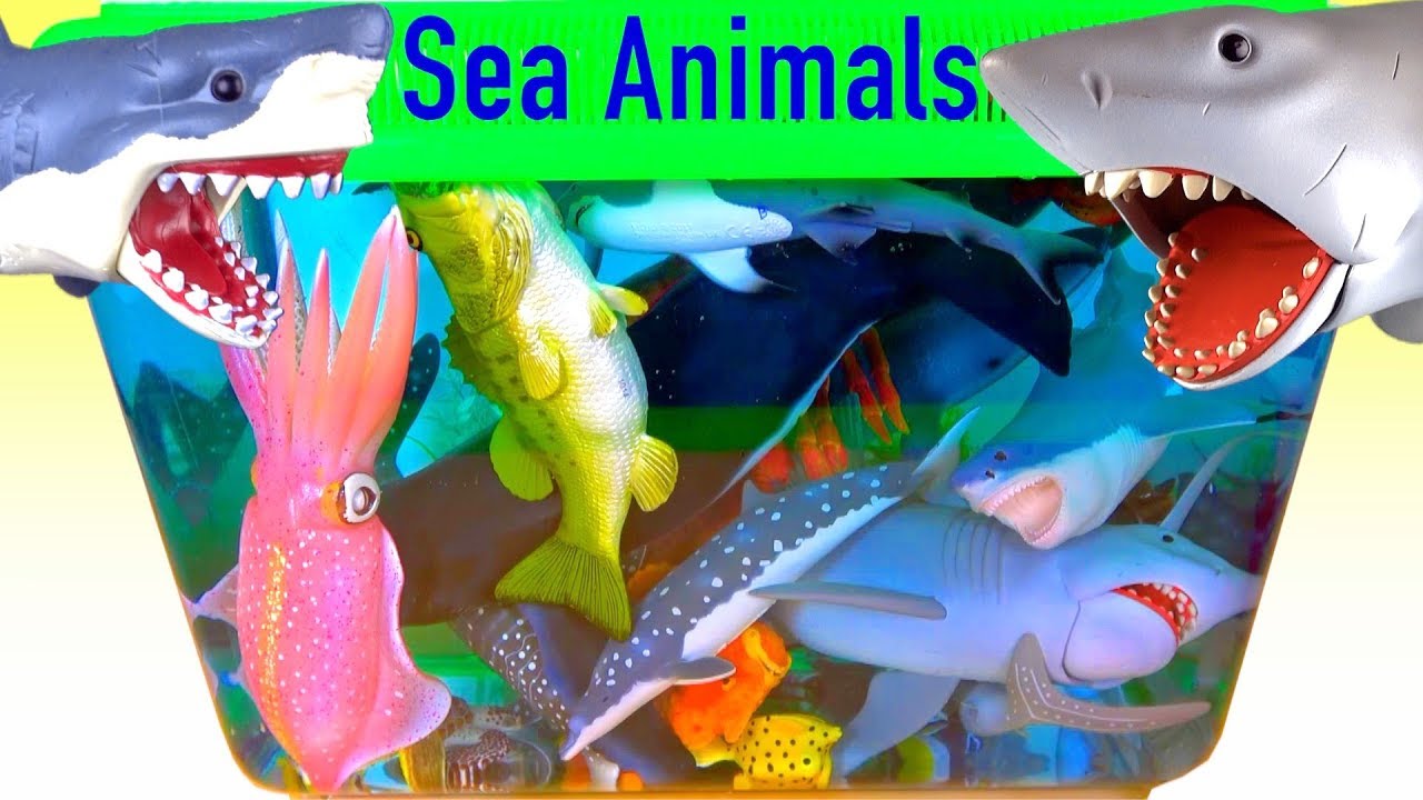 Learn About Sea Animals! NEW Sharks Whales JAWS Fish Water Ocean Fun ...