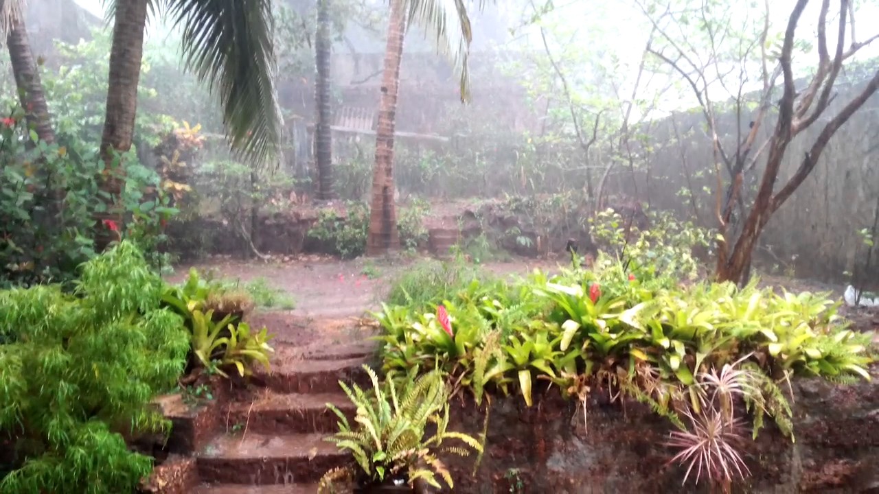 RAIN IN GOA 5- 31- 2017 - YouTube