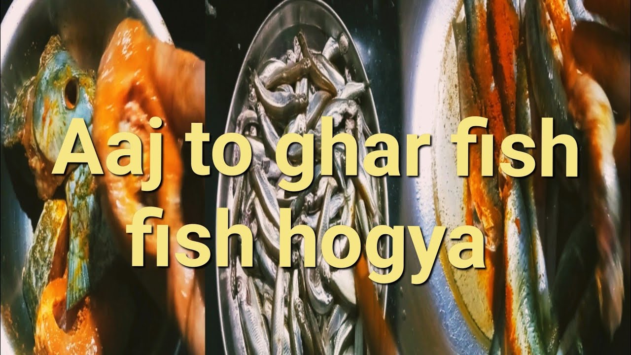 Aaj to ghar fish fish hogya || Daily vlogs || viralvlogs - YouTube