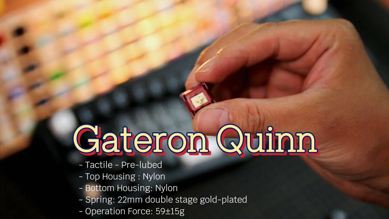 Gateron Quinn Switch Installation: Thocky, Marbly and Satisfying sound ...