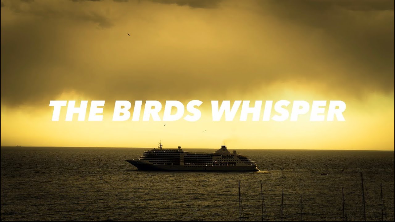 The Birds Whisper (Cinematic Short Film) - YouTube