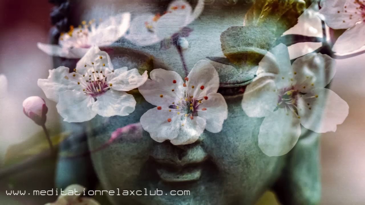 3 HOURS Zen Songs: Be in the Present Moment with Buddhist Meditation ...