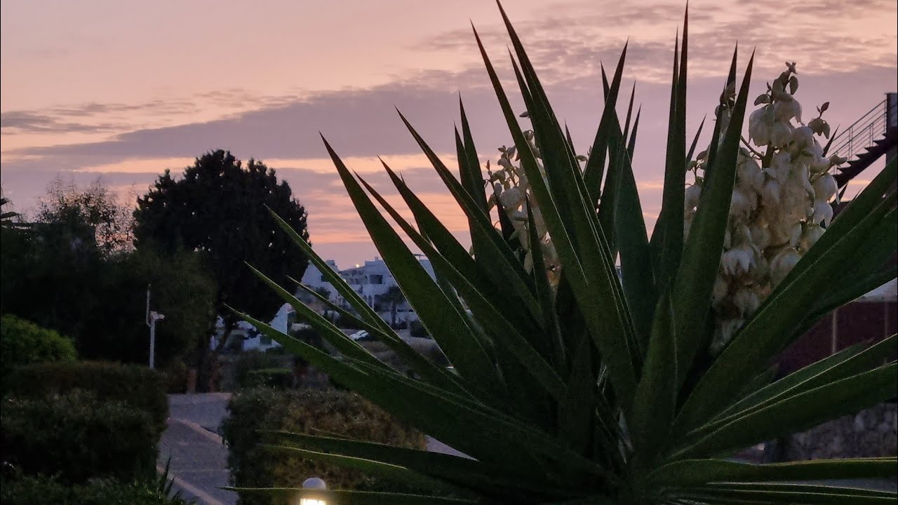 ☯️NORT KAD JUS MYLĖTŲ ? - YouTube