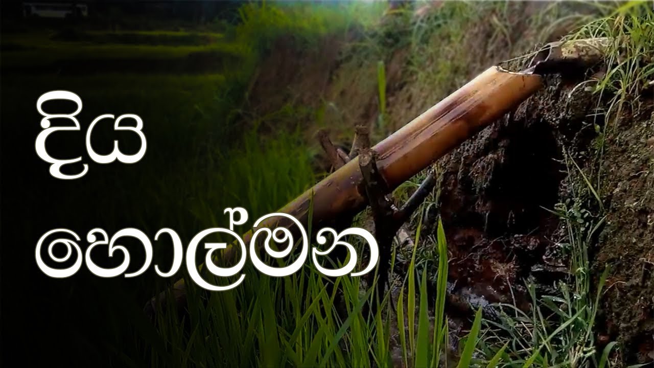 දිය හොල්මන-Diya Holmana - YouTube