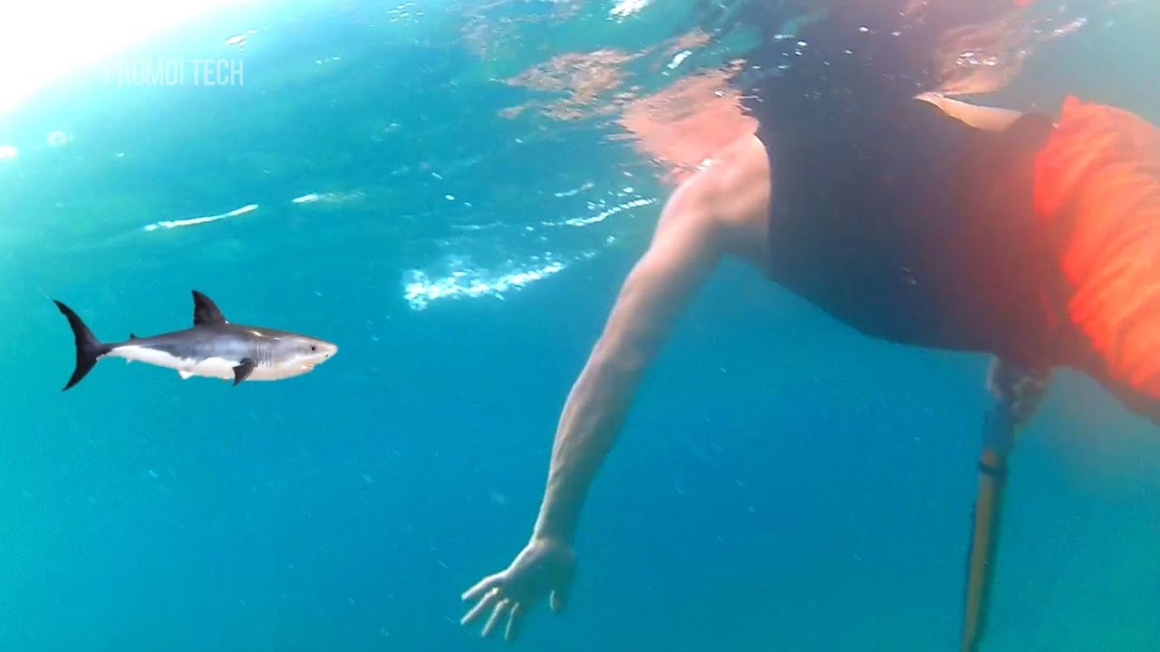 Nakakita ng Pating (Shark) habang namamana ng isda - YouTube