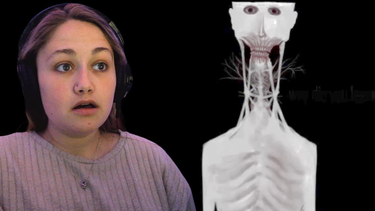 THE ODDITY COMPENDIUM || Analog horror reaction by @doctornowhere - YouTube