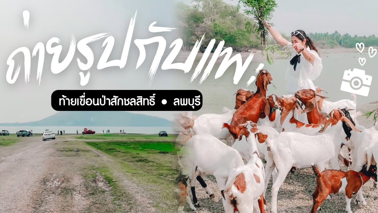 ถ่ายรูปกับน้องแพะ ท้ายเขื่อนป่าสักชลสิทธิ์ 🐐 | GLUAY.PING - YouTube